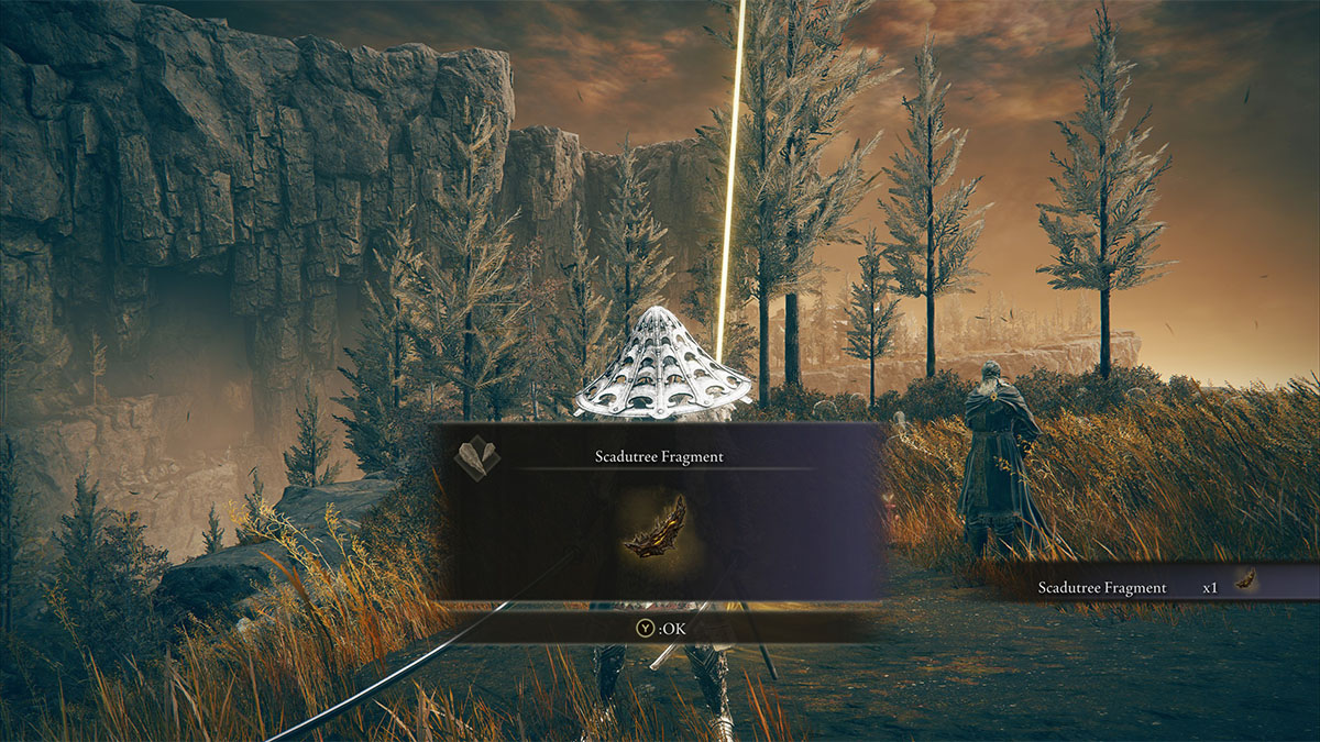 Where to Find All 50 Scadutree Fragments in Elden Ring Shadow of the ...