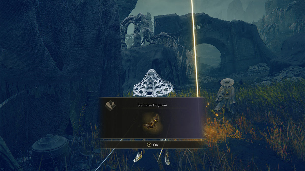 Where to Find All 50 Scadutree Fragments in Elden Ring Shadow of the ...