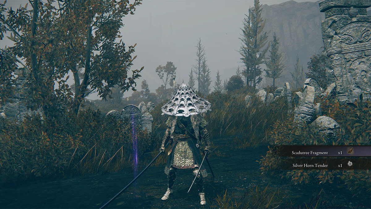 Where to Find All 50 Scadutree Fragments in Elden Ring Shadow of the ...