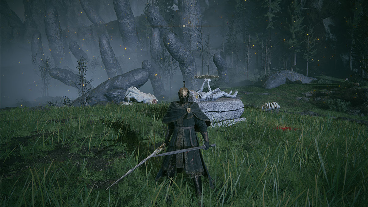 Where to Find Remembrance Duplication Coffins in Elden Ring Shadow of ...
