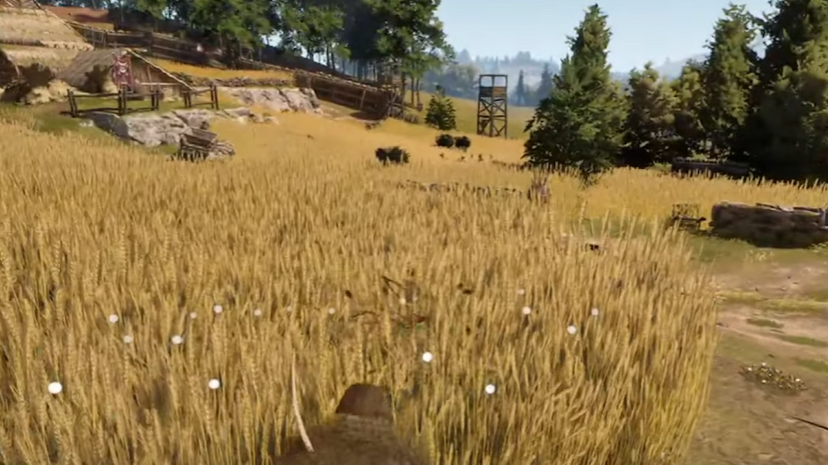 Bellwright Wheat Guide: How to Grow and Find Wheat Seeds – GameSkinny