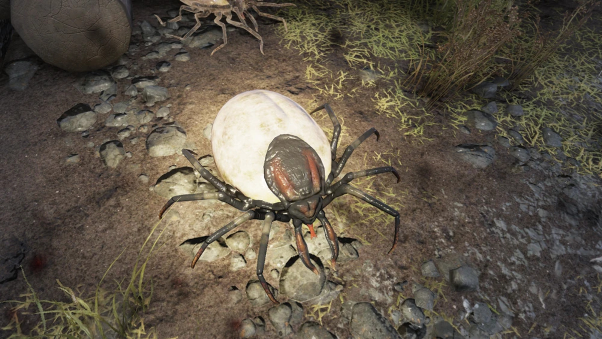 How to Scrap Junk to Produce Antiseptic in Fallout 76 – GameSkinny