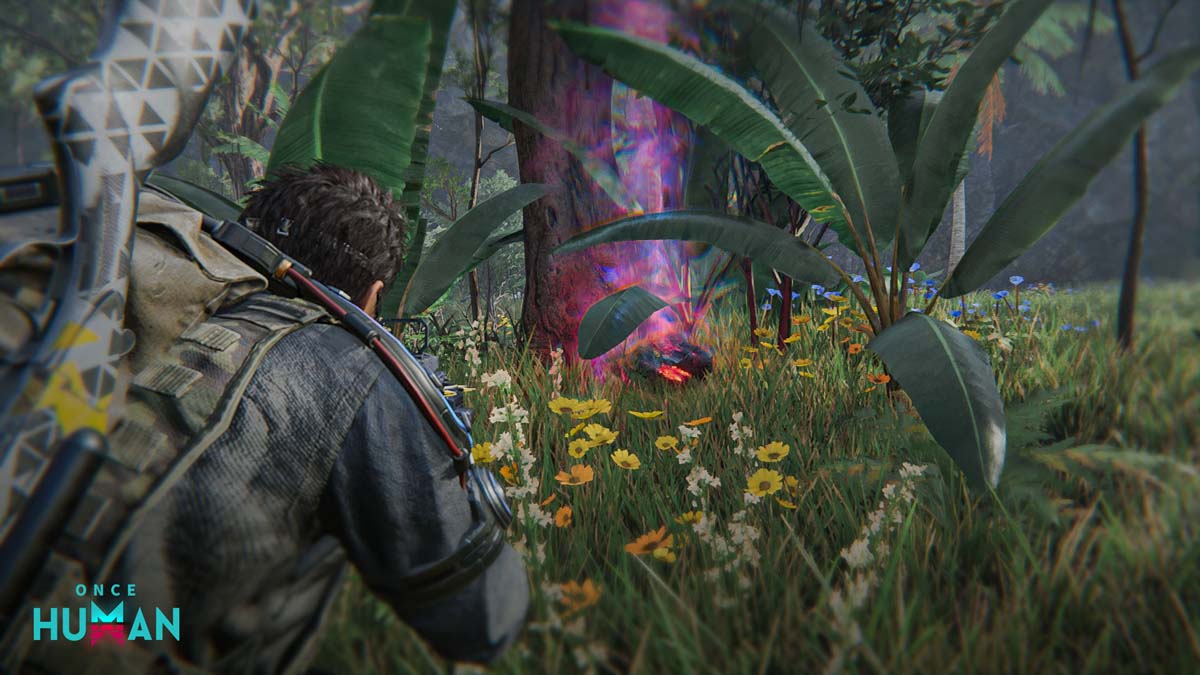 Once Human: All Echo Stone Locations – GameSkinny