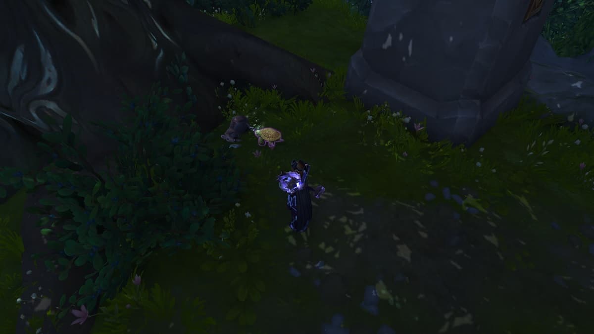 How to Find and Get the Dalaran Sewer Turtle in WoW: The War Within ...