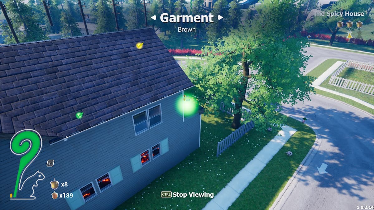 Where to Find Golden Acorns and Garments in The Spicy House in Squirrel ...