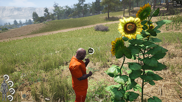 SCUM Game Guide: How to Change Screen Resolution – GameSkinny