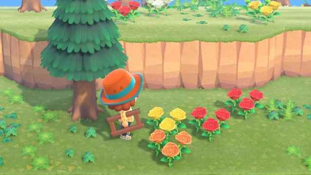 Animal Crossing: New Horizons Flower Breeding Guide – GameSkinny