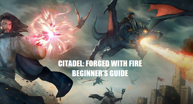 Citadel: Forged with Fire - Level 1~20 Beginner's Tips Guide - GameSkinny