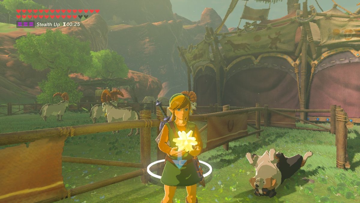The Legend of Zelda: Breath of the Wild Star Fragment Guide – GameSkinny