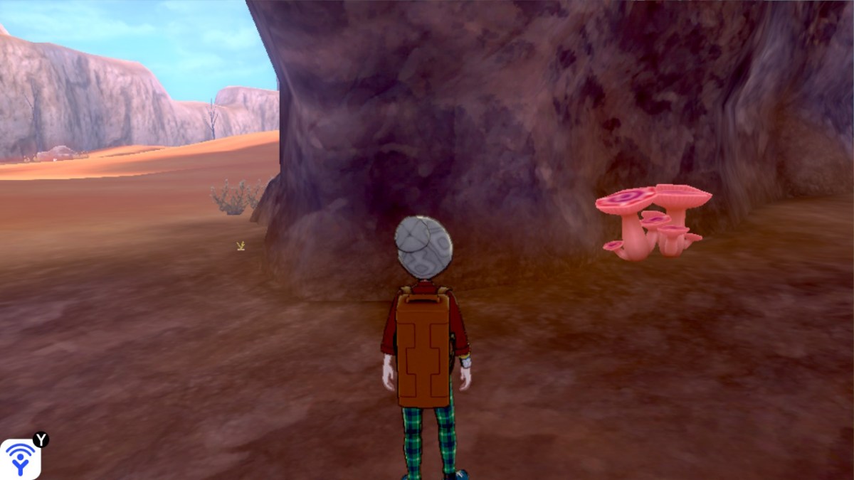 Max Mushrooms Pokemon Isle of Armor Guide - GameSkinny