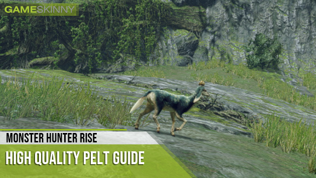 High Quality Pelt Monster Hunter