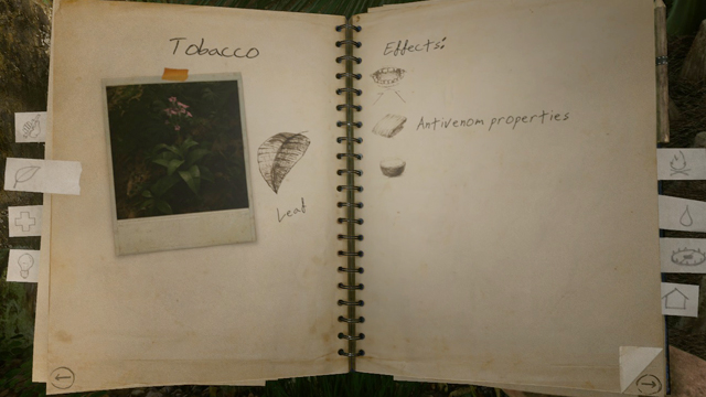 Green Hell Plants Guide: Flowers, Fruits and Mushrooms – GameSkinny